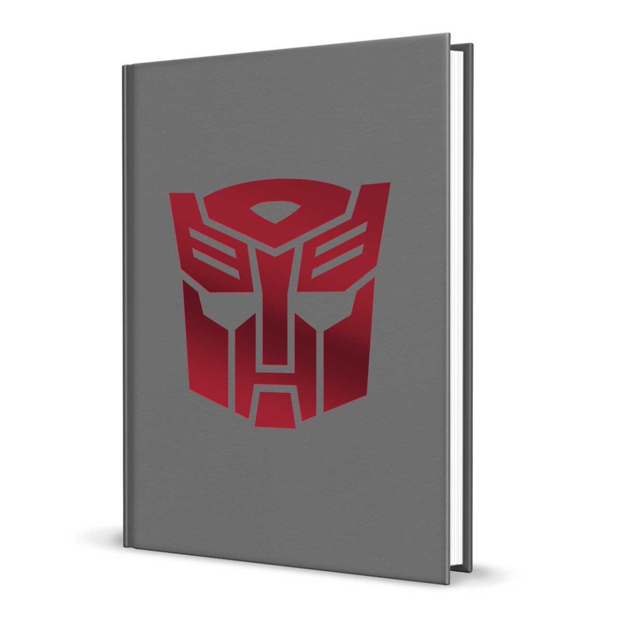 Transformers RPG: Expanded Character Journal, 17,53